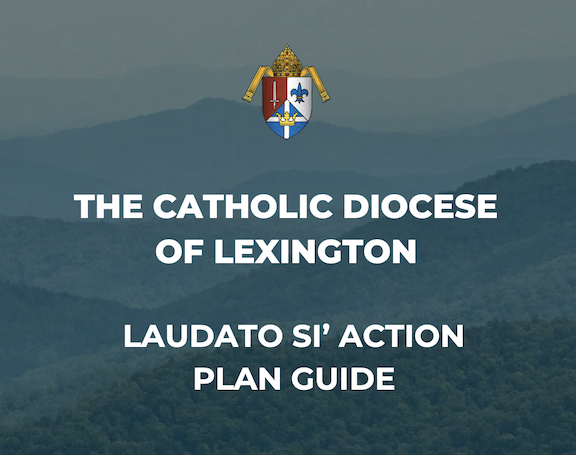 Diocese Of Lexington Laudato Si' Action Plan And Guide | God's Planet