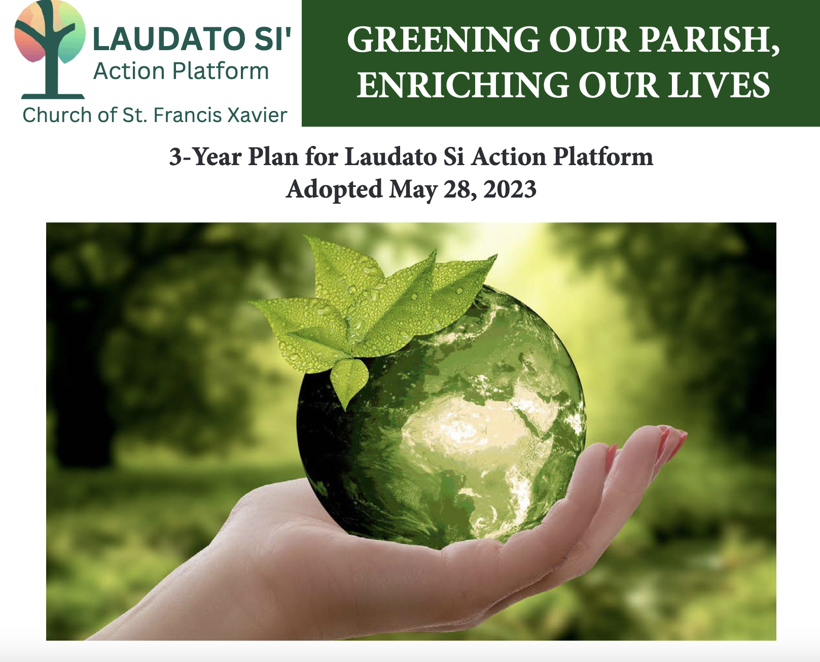 St. Francis Xavier, NYC Laudato Si' Action Plan Greening Our Parish ...